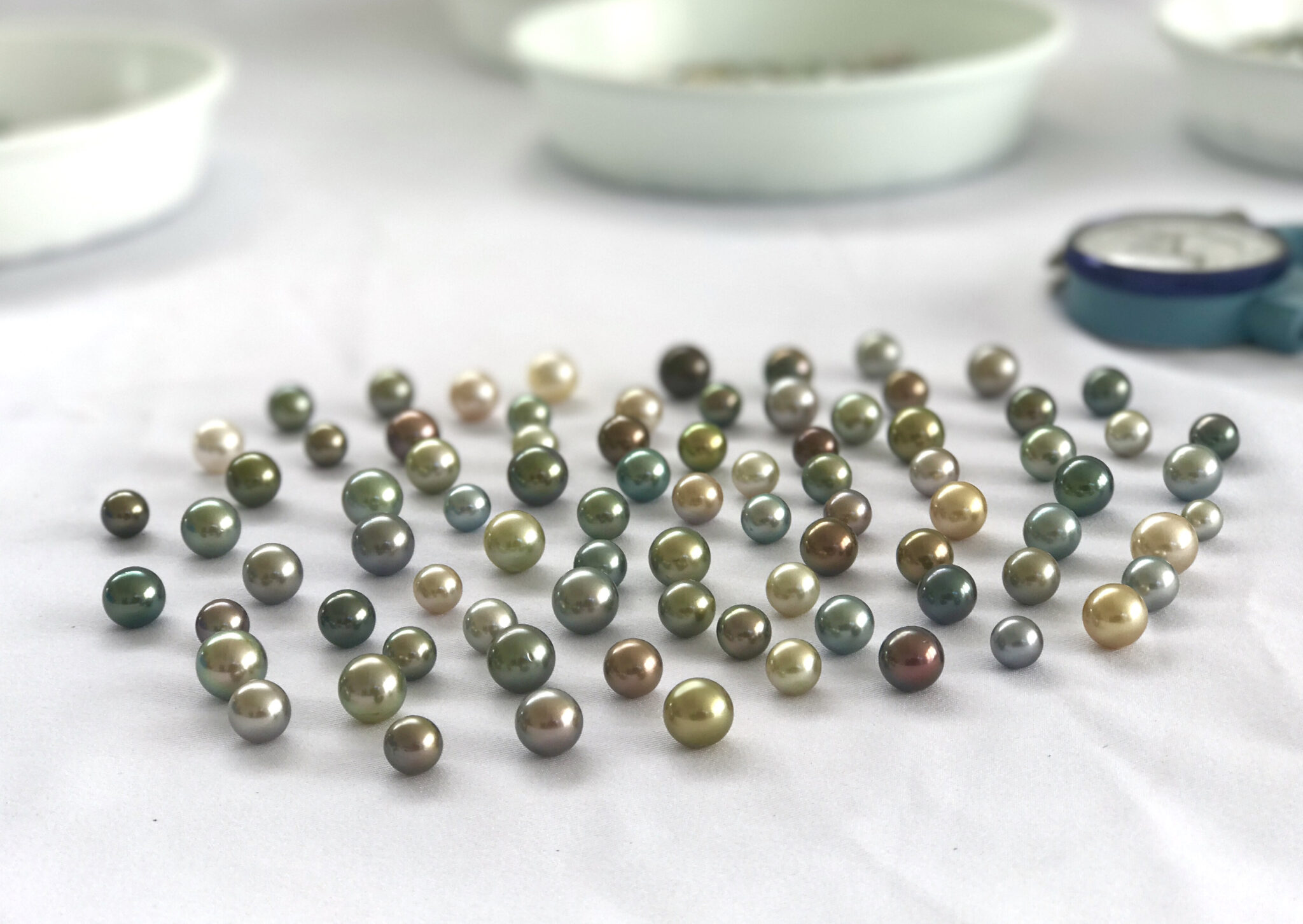 Cultured Pearls | Tahitian, South Sea, Freshwater at Hamilton Hill